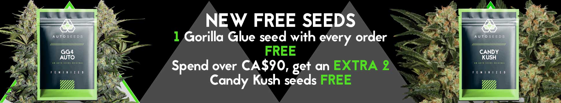 The #1 Autoflower Seed Bank | Auto Seeds Canada