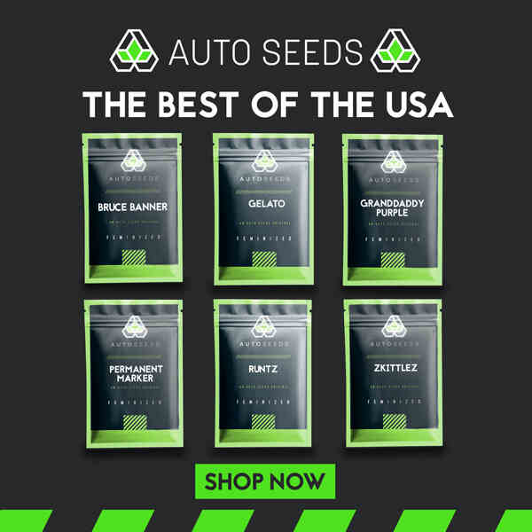 Autoflower Cannabis Seeds | Auto Seeds EU