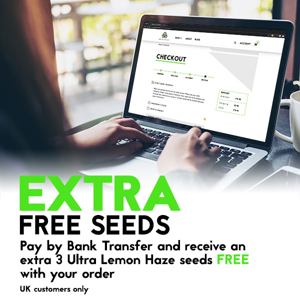 Buy Autoflower Cannabis Seeds | Auto Seeds UK