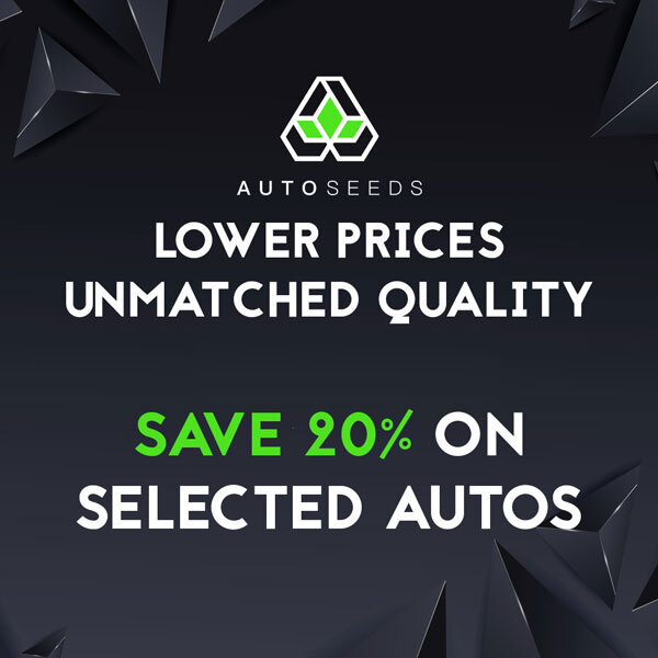 Buy Autoflower Cannabis Seeds By Auto Seeds UK