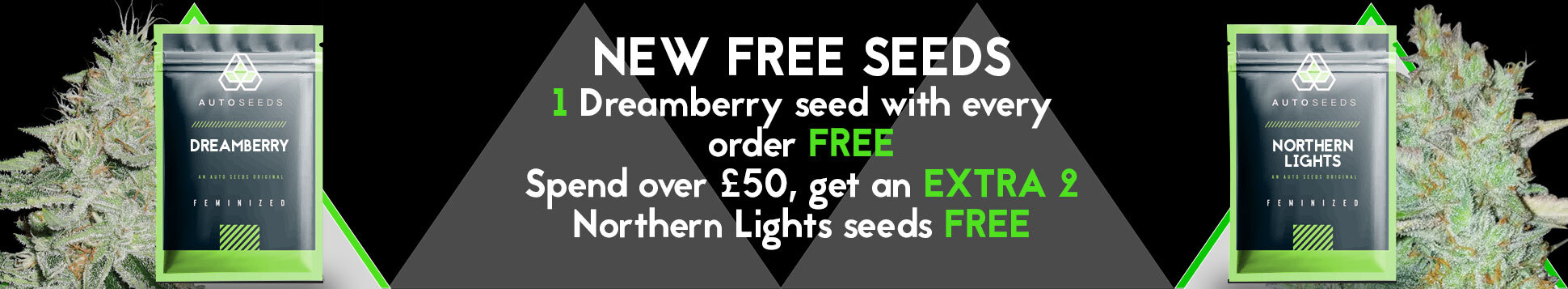 The #1 UK Autoflower Seed Bank | Auto Seeds