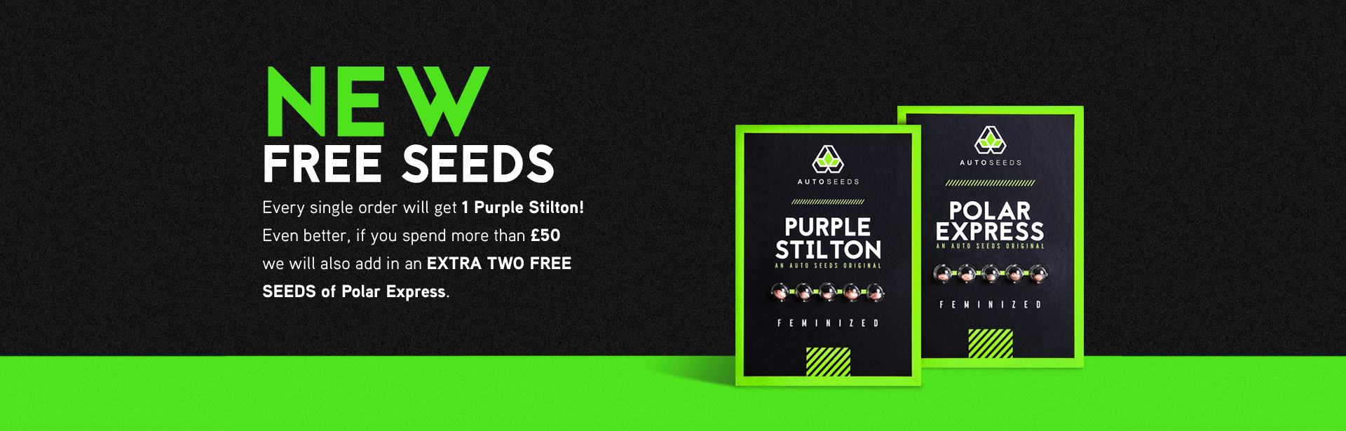 Auto Seeds - The Autoflowering Specialists