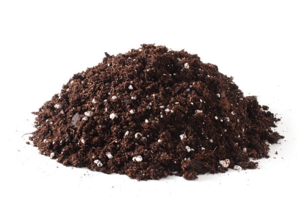 What is the best soil for autoflowers? | Auto Seeds