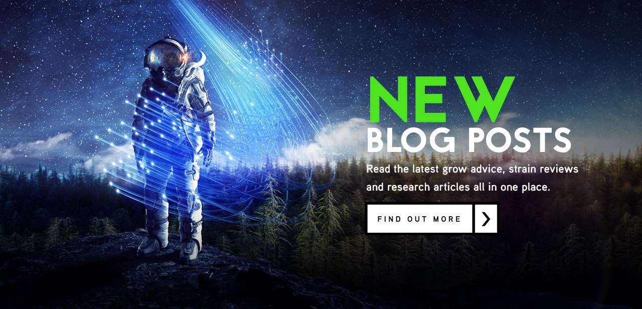 Auto Seeds - The Autoflowering Specialists