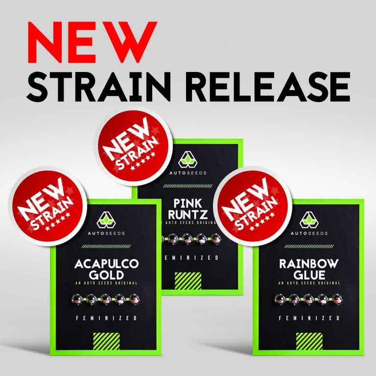 Auto Seeds - The Autoflowering Specialists