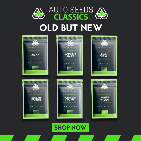 Autoflower Cannabis Seed Bank | Auto Seeds