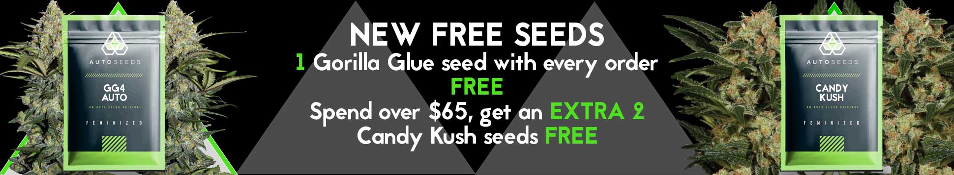 The #1 USA Autoflower Seed Bank | Auto Seeds