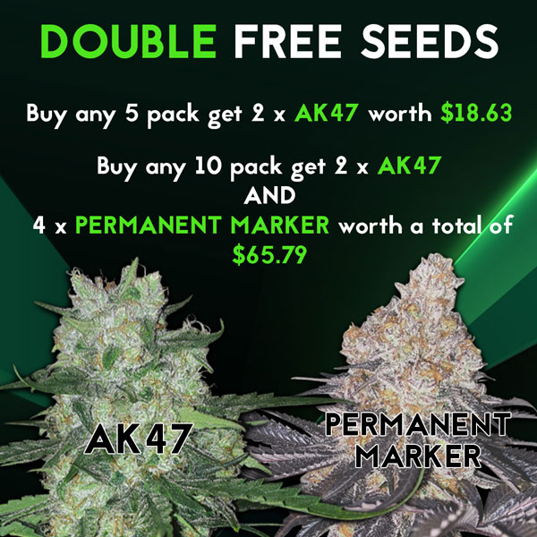 Buy Autoflowering Seeds | Shop Online